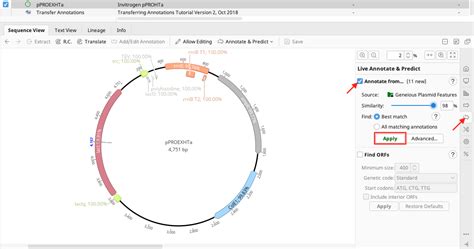 Transfer Annotations From Database Geneious