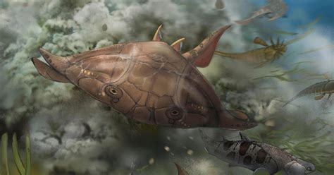 Species New To Science [paleoichthyology 2022] Xiushanosteus