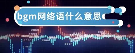 网络语bgm是什么意思 业百科