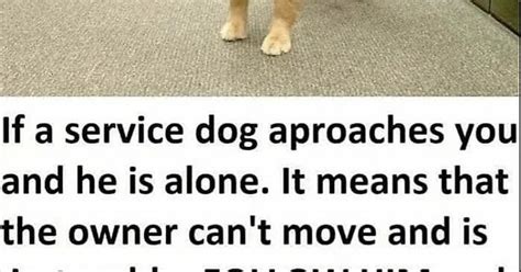 Public Service Announcement Album On Imgur