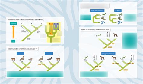 Biology Final Flashcards Quizlet At Oscar Godson Blog