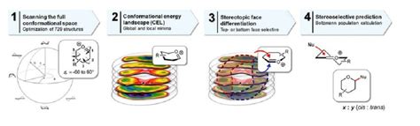 Overview Of The Workflow To Map The Conformational And Stereoselective