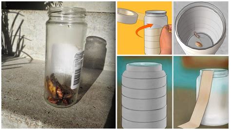 Cockroach Traps Diy Homemade Cockroach Trap Easy To Do Those Tend