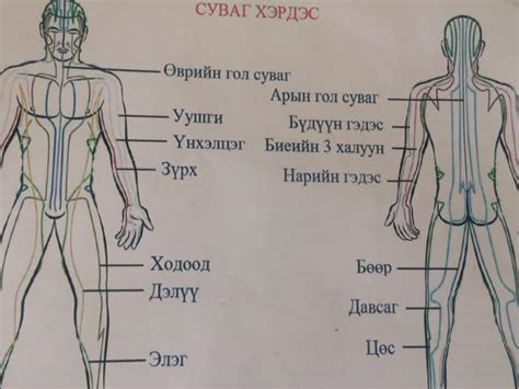 СУДАЛ СУВАГИЙН ХИЙ ЯДАРГАА Эмчилгээний бариа засал