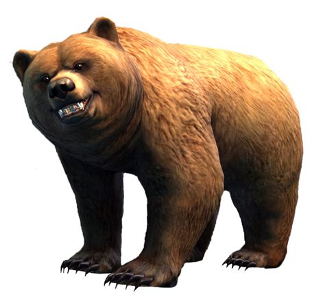 Bear Guild Wars 2 Wiki GW2W