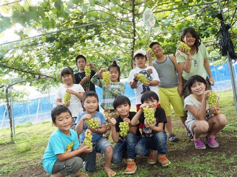 群馬のぶどう狩りランキングtop10 じゃらんnet