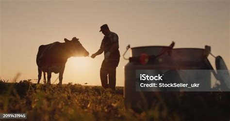 목축업자의 실루엣이 소 곁에 서 있다 우유 캔이 전경에 있습니다 농부에 대한 스톡 사진 및 기타 이미지 농부 가까운 낙농장 Istock