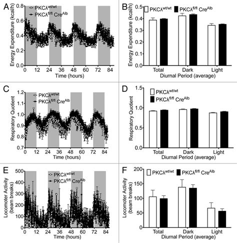 Dynamic And Average Energy Expenditure A And B Respiratory Quotient Download Scientific