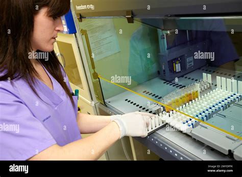 Sample Loading Tecan Automated Samples Handling Dna And Rna Biobank