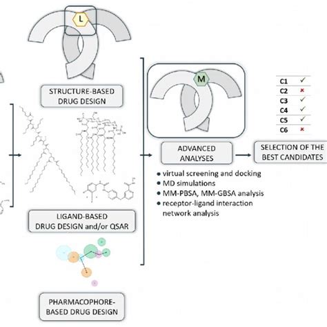 Structural Organisation And Potential Toll Like Receptors Tlrs