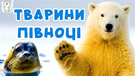 Тварини півночі для дітей українською мовою Вчимо голоси тварин
