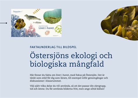 Ekologi Och Biologisk Mångfald Lektionsbanken Om Östersjön