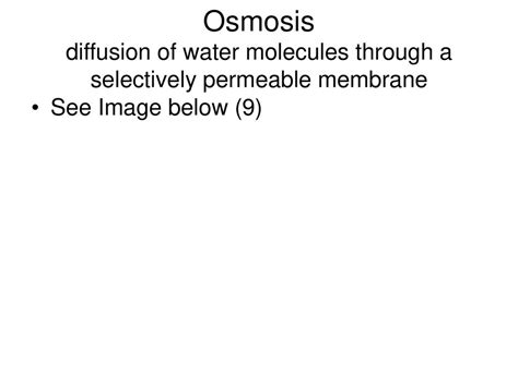 The Cell In Its Environment Ppt Download