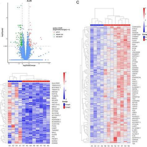 The Classification Of Cumulus Oocyte Complexes With Representative