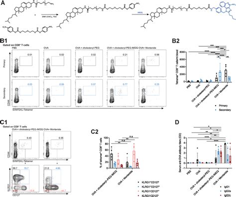 A Synthesis Of Cholesterol‐peg‐imdq B B1 Representative Flow