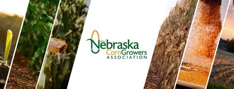 Kuvr Nebraska Corn Growers Association Announces Winners ﻿of 2021