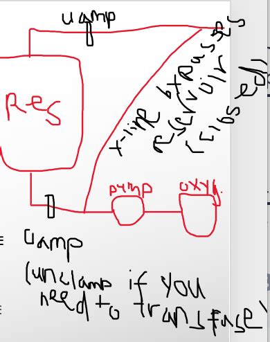 Circuit Flashcards Quizlet