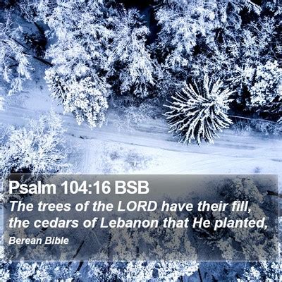 Psalm 104 Bible Images Psalm Chapter 104 BSB Bible Verse Pictures