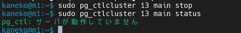 postgresql 13 pgadmin 3 postgis 3 のインストール（ubuntu 20 04 上）