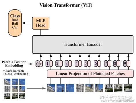 Vision Transformervit复现vit复现 Csdn博客