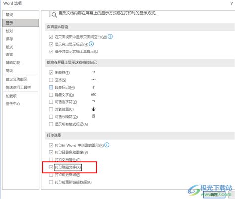 Word怎么打印隐藏文字 Word打印隐藏文字的方法 极光下载站