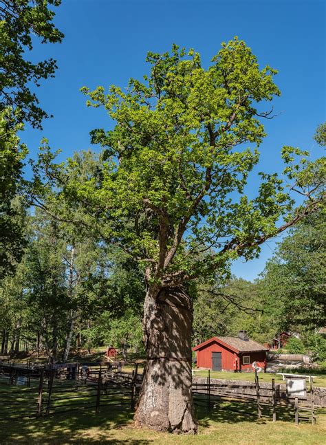 V SKOGEN Knappfors Lunedet Karlskoga En av Karlskogas på flera sätt historiska platser ligger