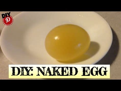 DIY Naked Egg Science Experiment Gone RIGHT YouTube