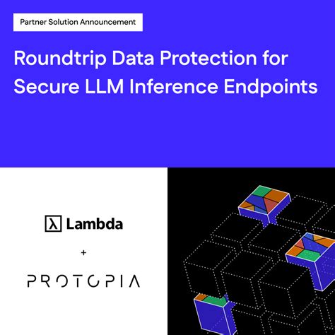 Protopia Ai Lambda Roundtrip Data Protection Request Access Lambda