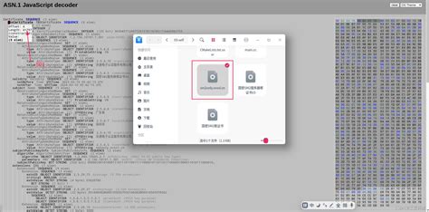 chromium证书校验流程sm2withsm3（c 源码说明） chromium高级编程 csdn专栏