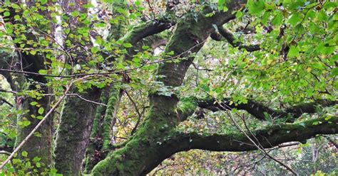 67 Not Out Walking Along A Beach After A Storm And A Lesson About Time