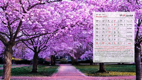تقویم فروردین 1404 با پس زمینه شکوفه های صورتی بهاری اِم والپیپر