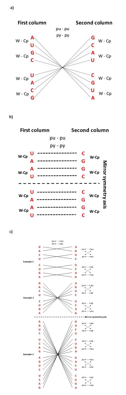 translation in proteinogenesis based on genetic code symmetry
