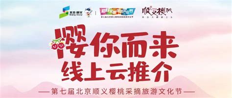 “樱”你而来 线上云推介丨直播即将开启，精彩看点大爆料，还有福利等您哦~顺义樱桃旅游文化节