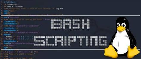 🚀 Learning Ethical Hacking Scripting With Bash 🖥️💻 Rehan Ahmed