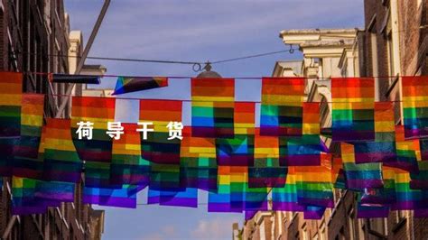 性别研究 Gender Studies｜在荷兰与北欧有哪些学习与研究机会？ 知乎