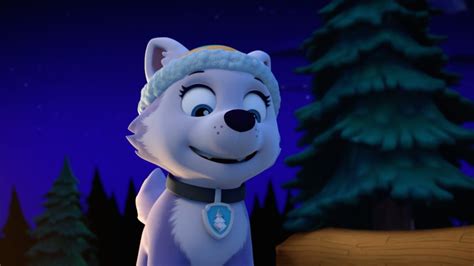 Everest In Season 2 Paw Patrol Photo 40150141 Fanpop Page 12