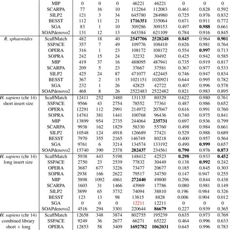 performance of different algorithms on the scaffolding datasets from