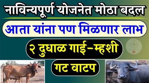 नाविन्यपूर्ण योजनेत मोठा बदलआता यांना पण मिळणार लाभदोन दुधाळ गाई