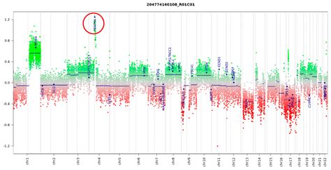 Cancers Free Full Text Genome Wide Dna Methylation Profiling As
