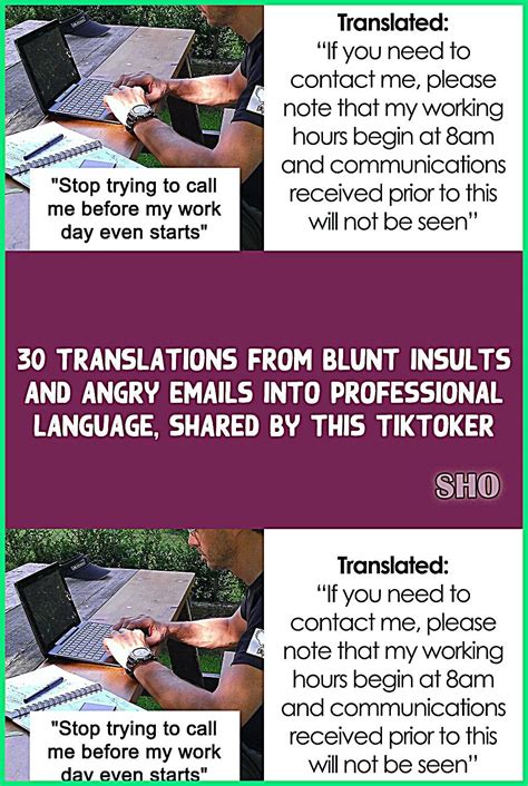 30 Translations From Blunt Insults And Angry Emails Into Professional