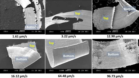 Varying Microchip Morphology Observed Through Scanning Electron