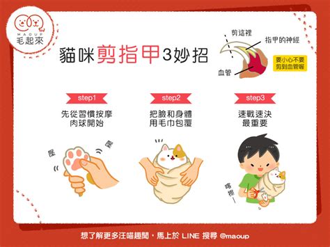 主子討厭剪爪子！3步驟「秒剪貓指甲」揉肉球卸心防先 Ettoday寵物動物 Ettoday新聞雲