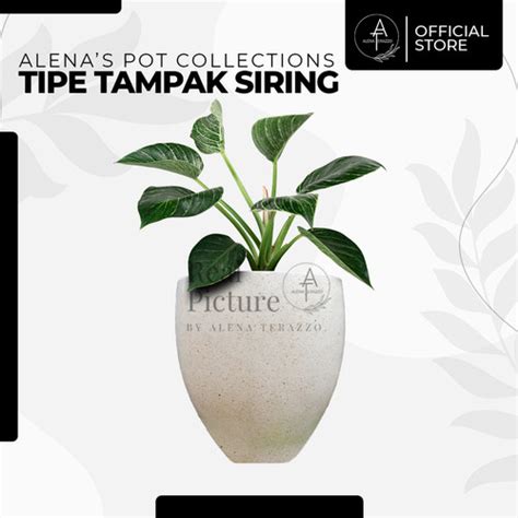 Jual POT TANAMAN HIAS OUTDOOR TERAZZO MARMER MINIMALIS TIPE TAMPAK SIRING Jakarta Selatan