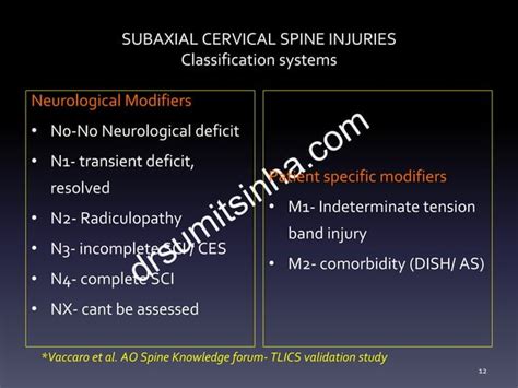 Subaxial Cervical Spine Injuries Pptx