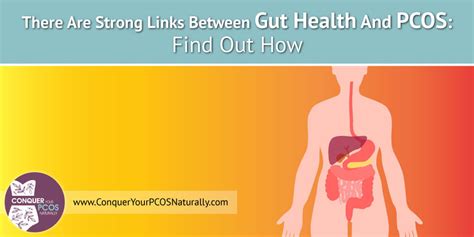 Strong Links Between Gut Health And Pcos Conquer Your Pcos Naturally