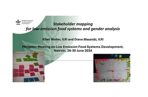 Stakeholder Mapping For Low Emission Food Systems And Gender Analysis