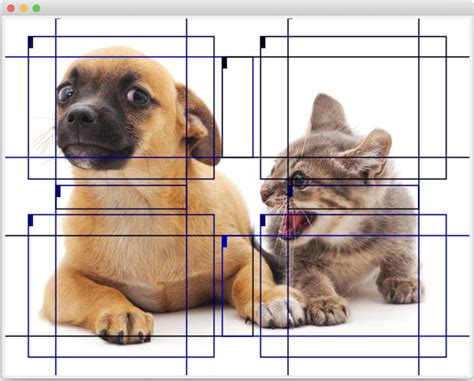 13 3 Multiscale Object Detection — Dive Into Deep Learning 0 1 0