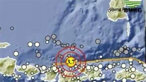 Gempa Bumi Malam Ini Kamis 13 Maret 2025 Info Bmkg Guncang Laut Ntb