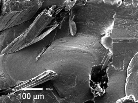 Scanning Electron Microscopy Sem Micrograph Of The Fracture Surface