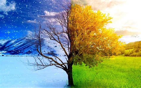 Seasonal Affective Disorder Aka S A D All Things Possible Wellness Center
